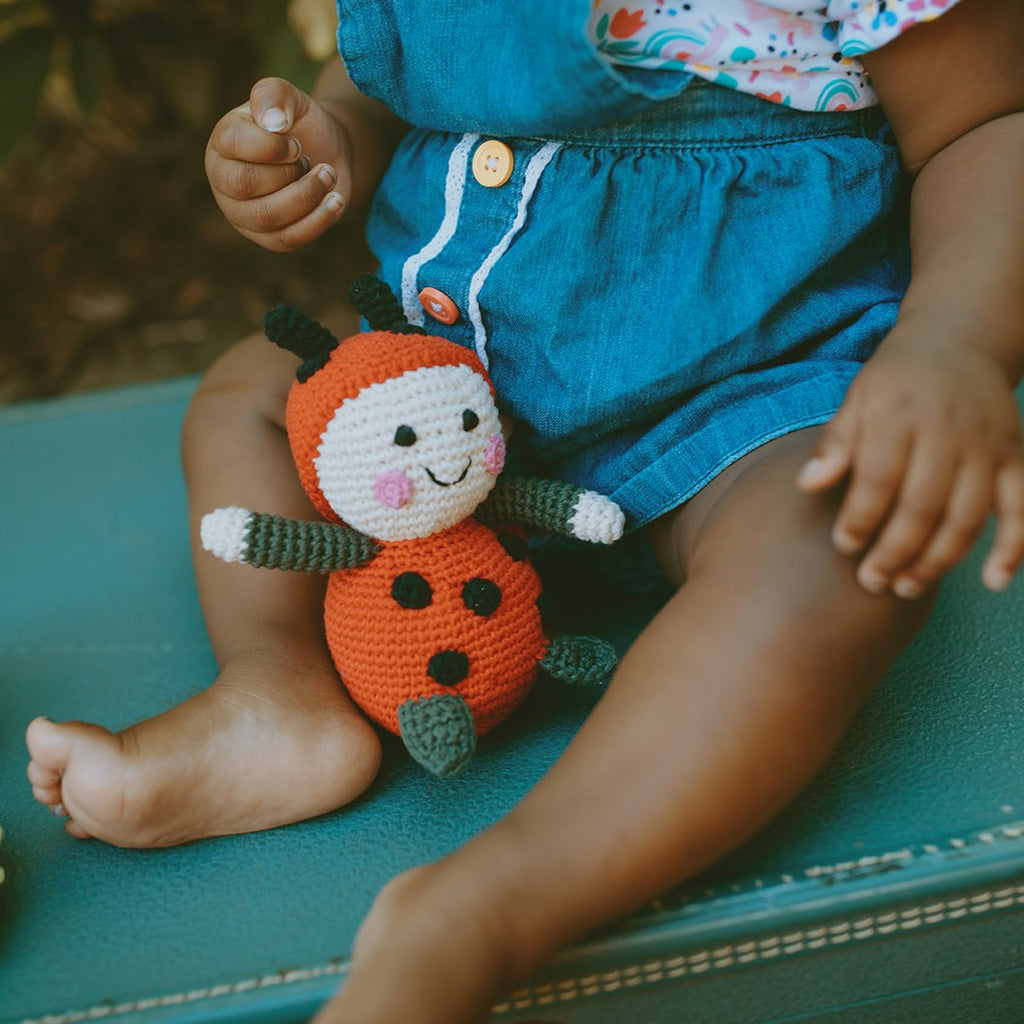 Pebble Toy Ladybug Rattle | Plush Ladybug Toy | Kahiniwalla ...